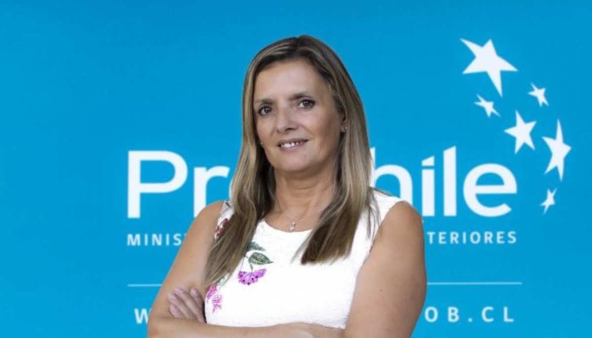 ProChile Atacama proyecta un 2024 con potentes actividades de apoyo y ...