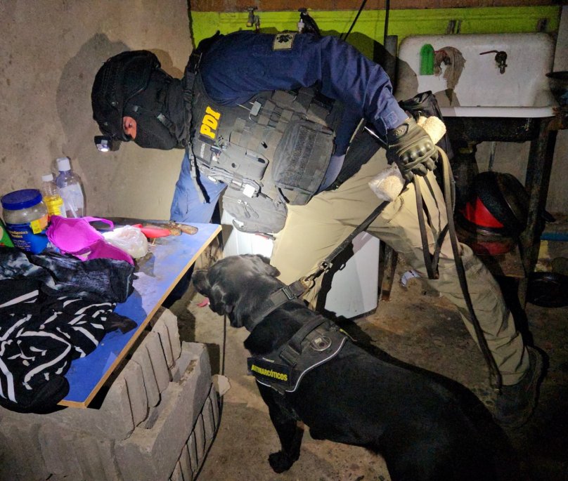 PDI Atacama detuvo a dos extranjeros integrantes de una estructura ...